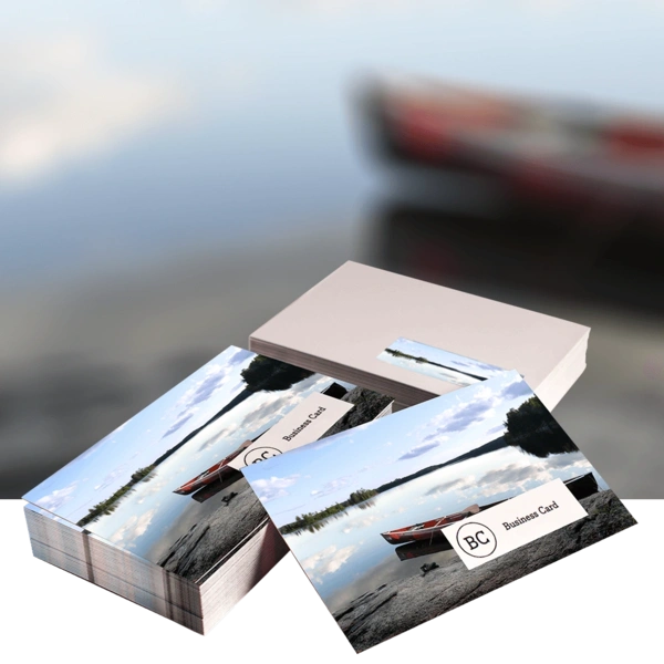 Standard Business Cards | Danscot Print Ltd