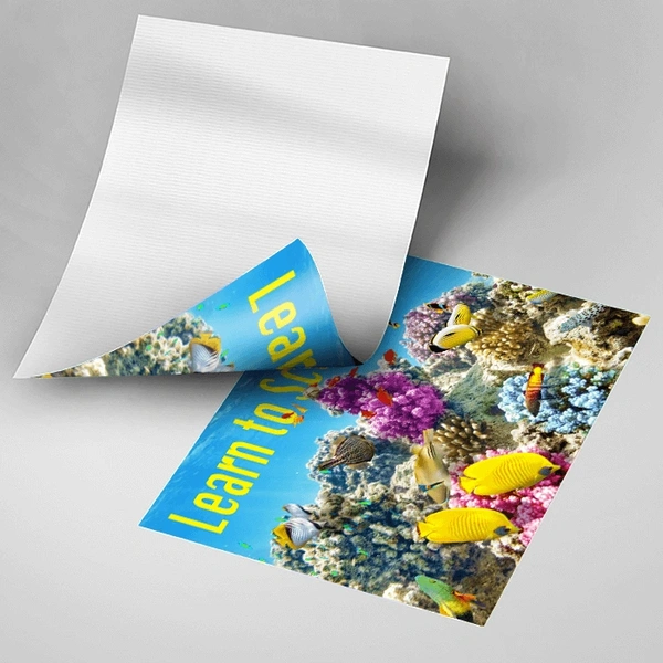 Waterproof Posters | Danscot Print Ltd